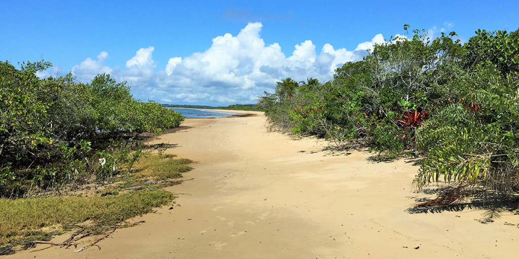 Important Habitats | AFSI